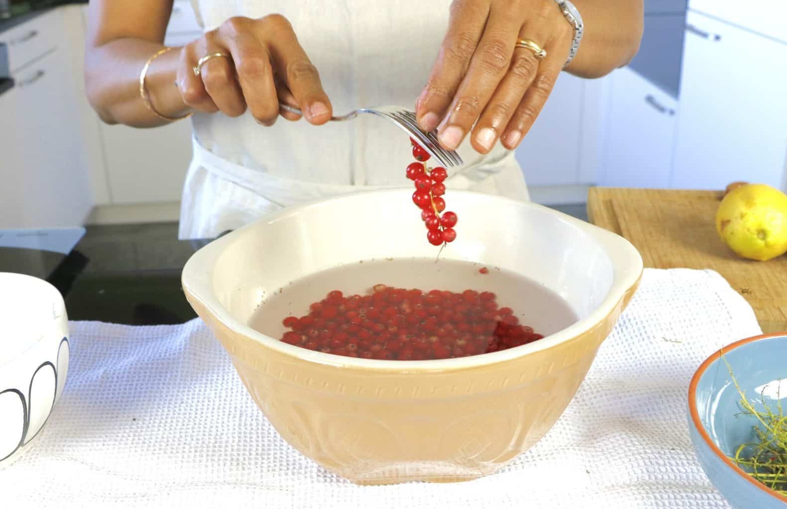 Red Currant Syrup Recipe - Vital Fair Living