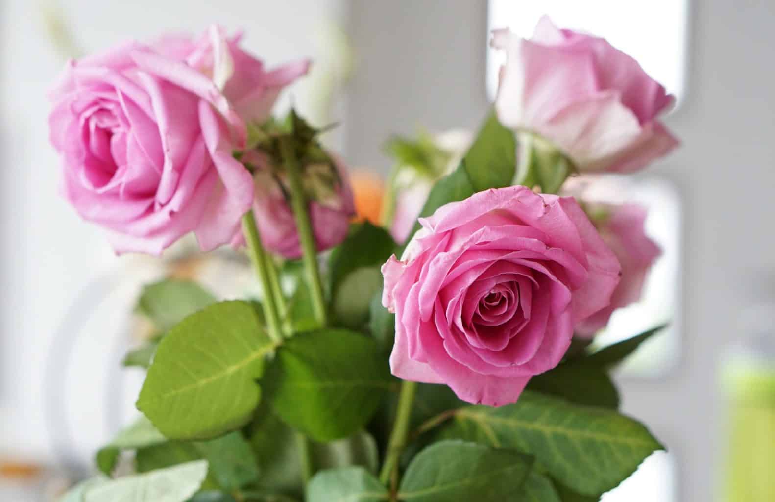 Pantry Organization With Canning Jars Vital Fair Living