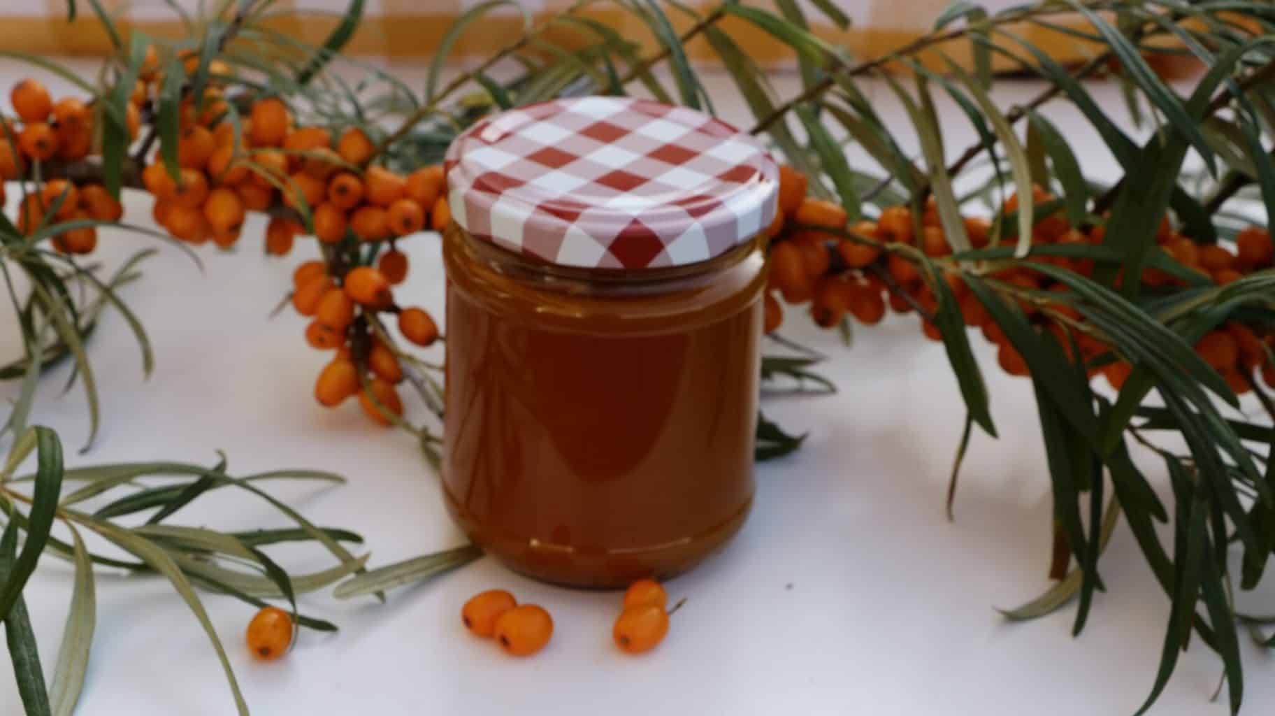 Sea Buck thorn berries Harvest & Preserves - Vital Fair Living