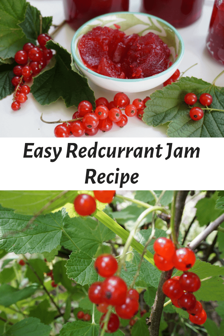 Red Currant Jam Recipe - Vital Fair Living