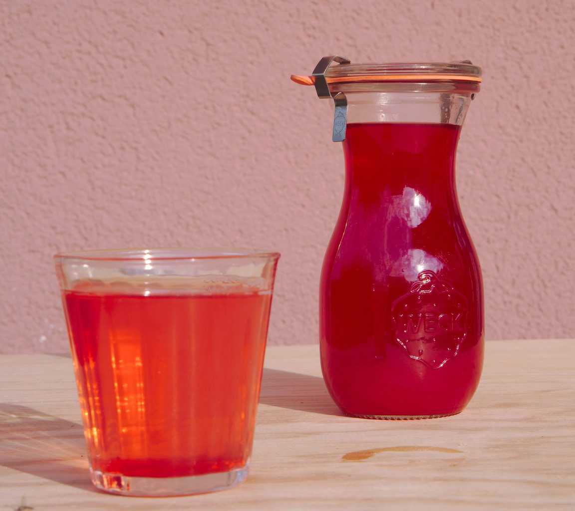 Red Currant Syrup Recipe - Vital Fair Living