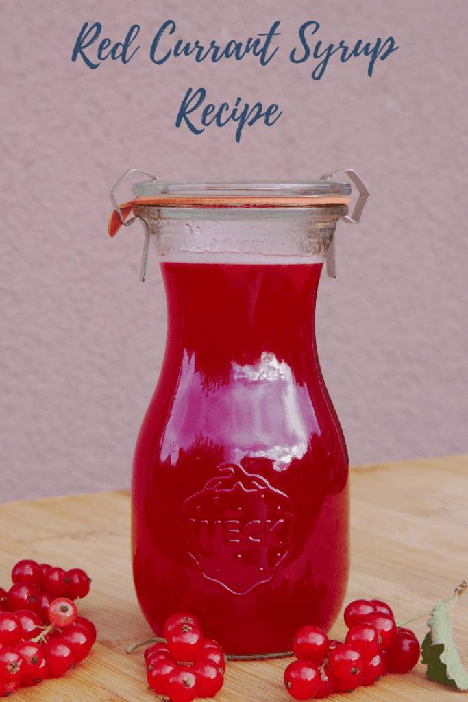 Red Currant Syrup Recipe - Vital Fair Living