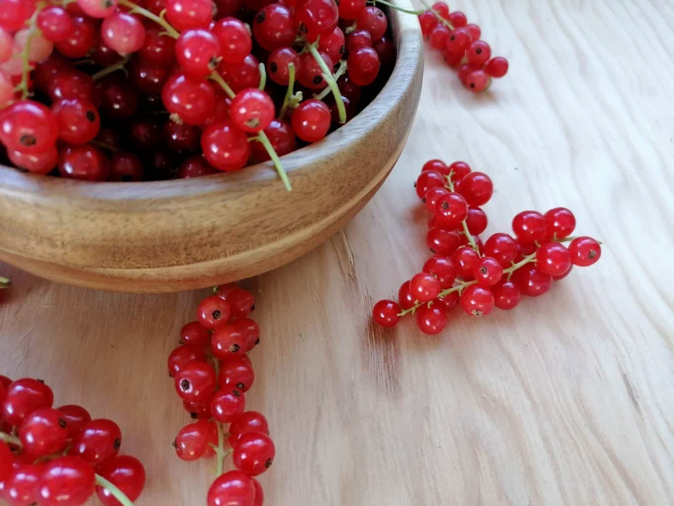 Red Currant Syrup Recipe - Vital Fair Living