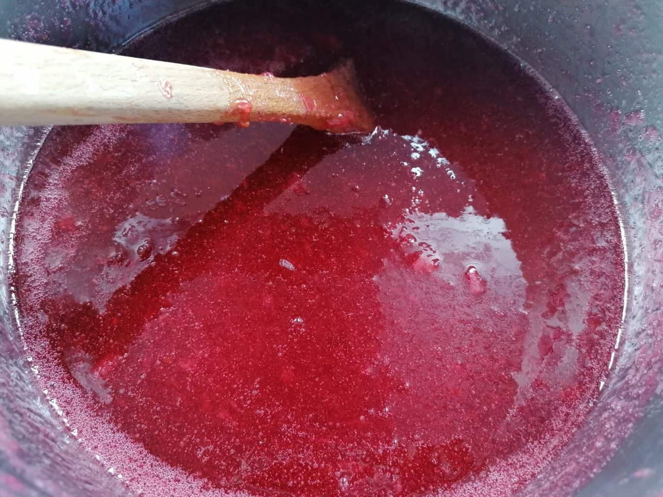 Red Currant Syrup Recipe - Vital Fair Living