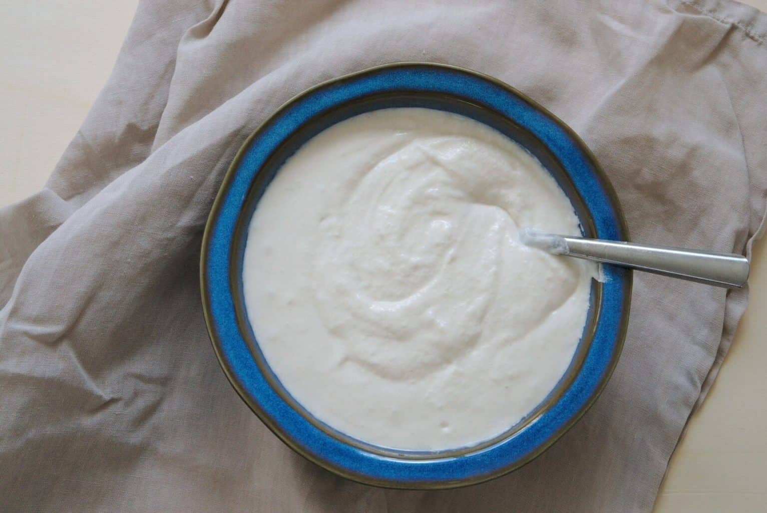 Idli Recipe using Ultra Fastgrind Wetgrinder - Vital Fair Living