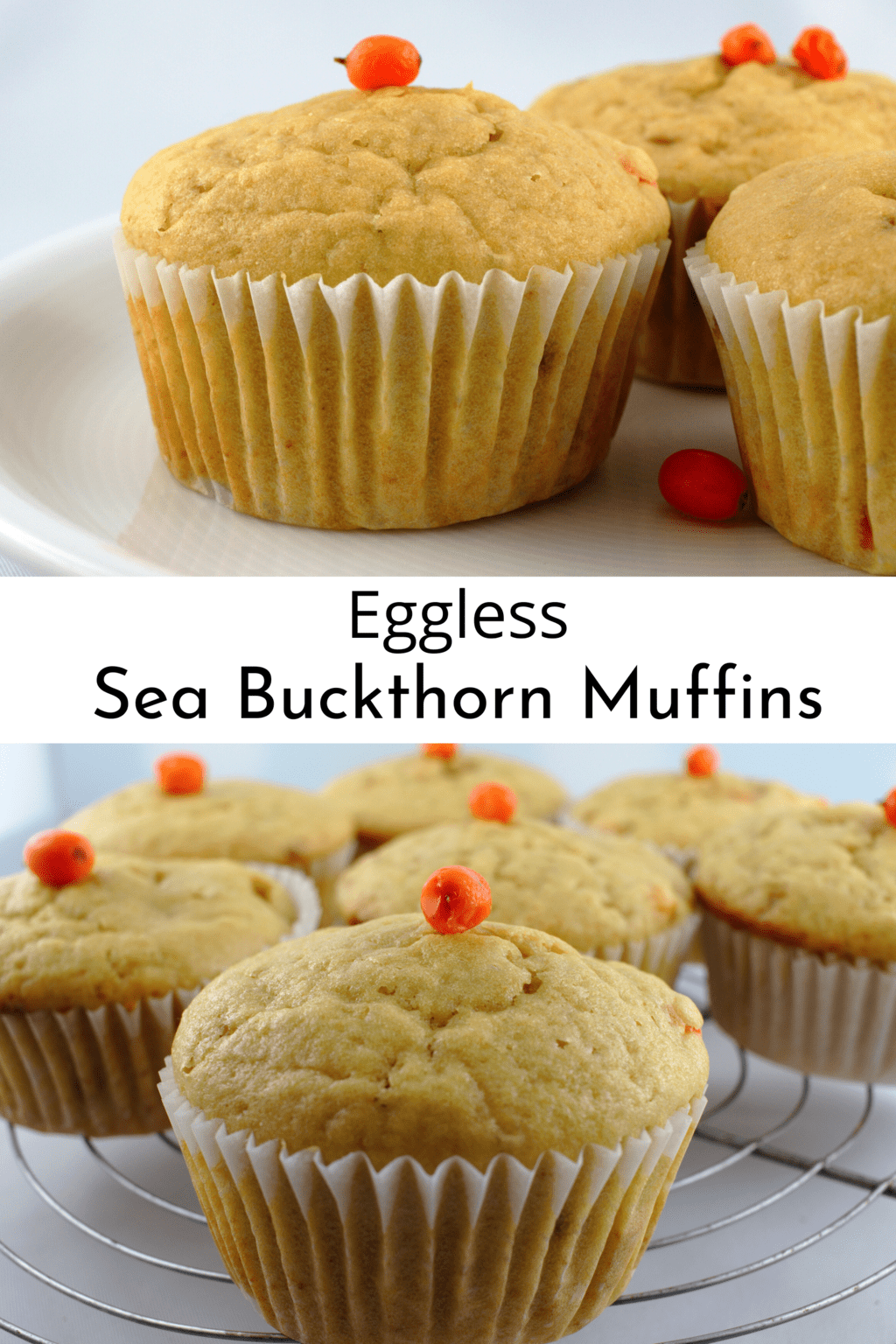Eggless Sea Buckthorn Muffins - Vital Fair Living