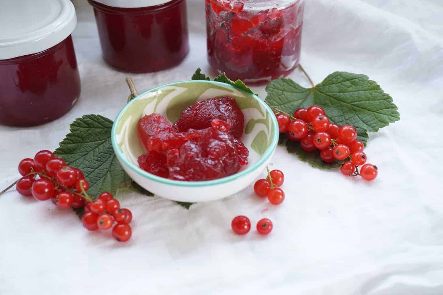 Red Currant Jam Recipe - Vital Fair Living