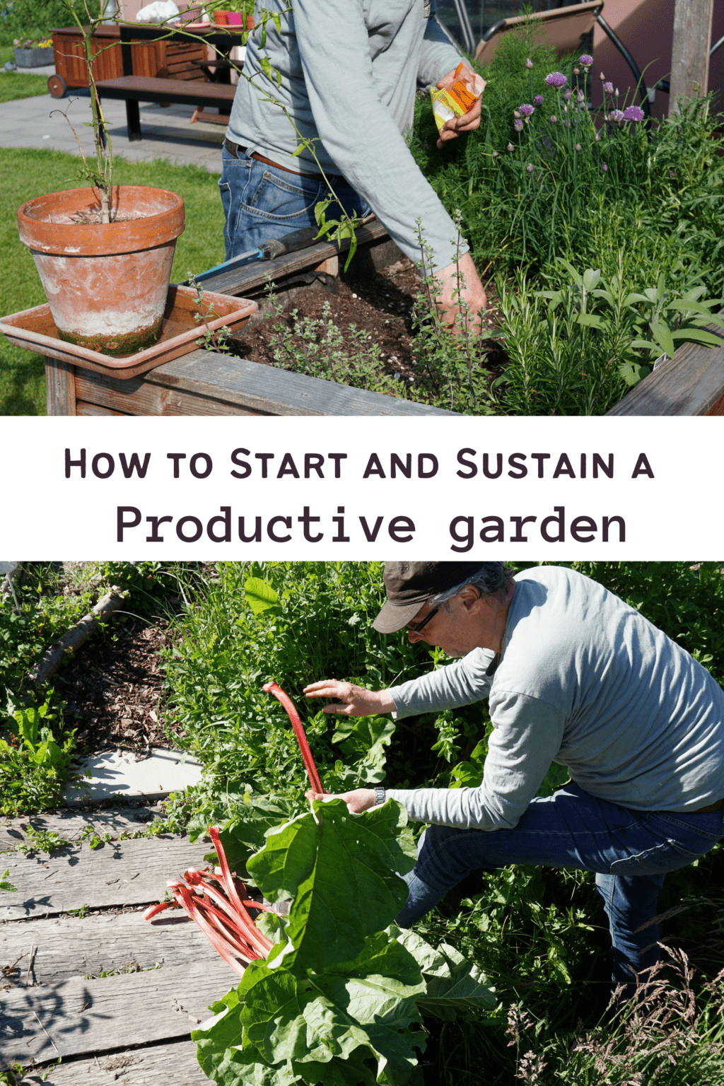 How to start and sustain a productive garden - Vital Fair Living