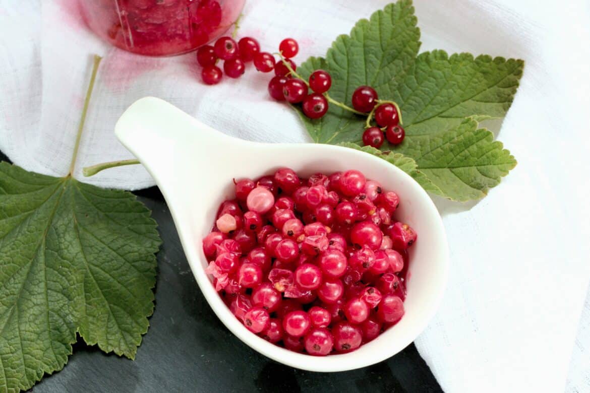 10 Easy Red Currant Recipes - Vital Fair Living