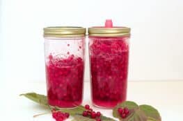Red Currant Syrup Recipe - Vital Fair Living