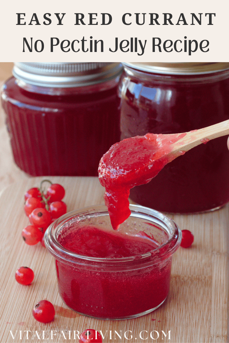 Easy Red Currant Jelly Recipe ( without pectin ) - Vital Fair Living
