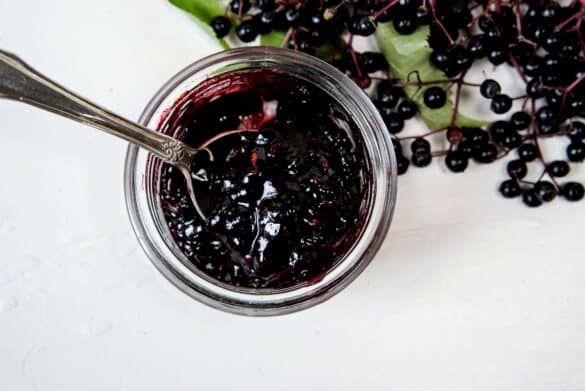 Easy Homemade Elderberry Jam Recipe - Vital Fair Living