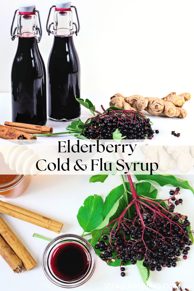 Elderberry Cold and Flu Syrup - Vital Fair Living