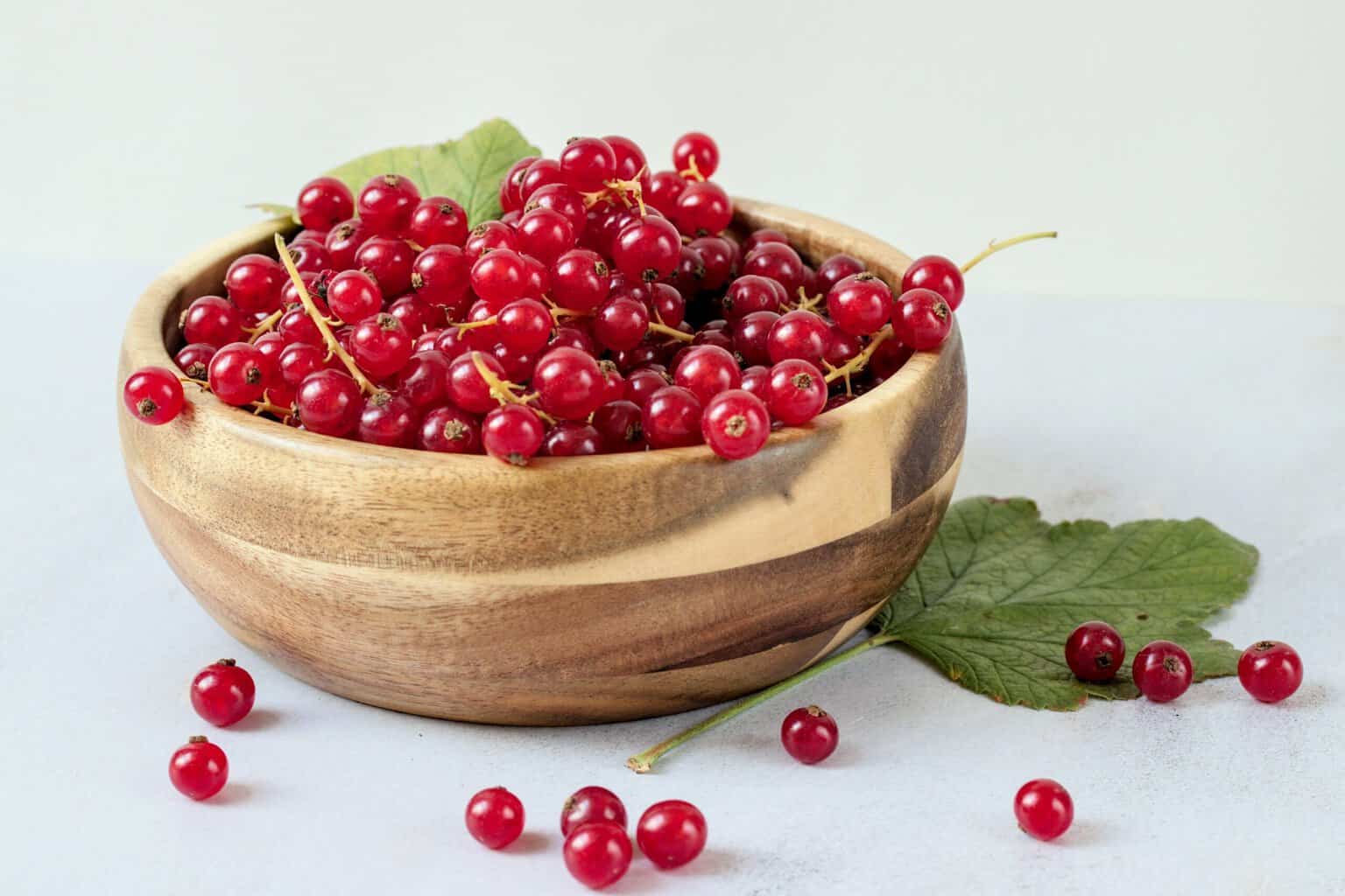 Red Currant Syrup Recipe - Vital Fair Living
