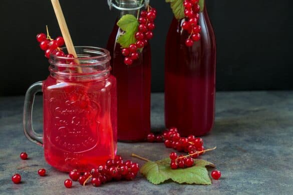 Red Currant Syrup Recipe - Vital Fair Living