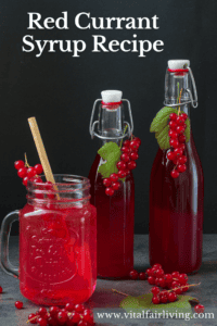 Red Currant Syrup Recipe - Vital Fair Living