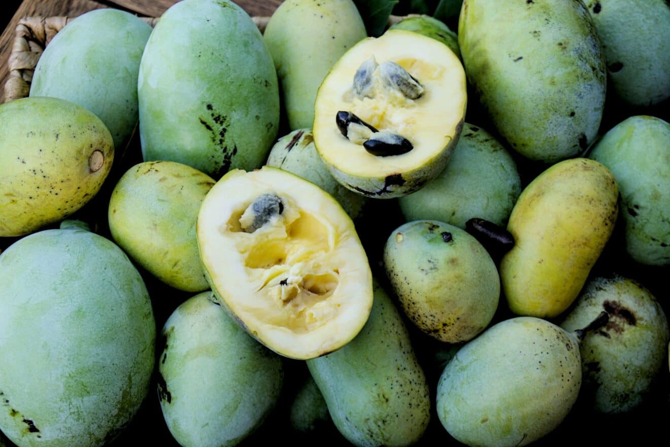 Pawpaw Jam Recipe - Vital Fair Living