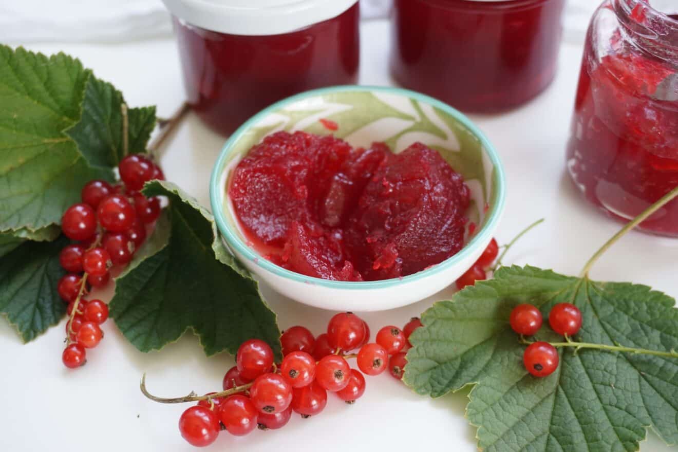 10 Easy Red Currant Recipes - Vital Fair Living