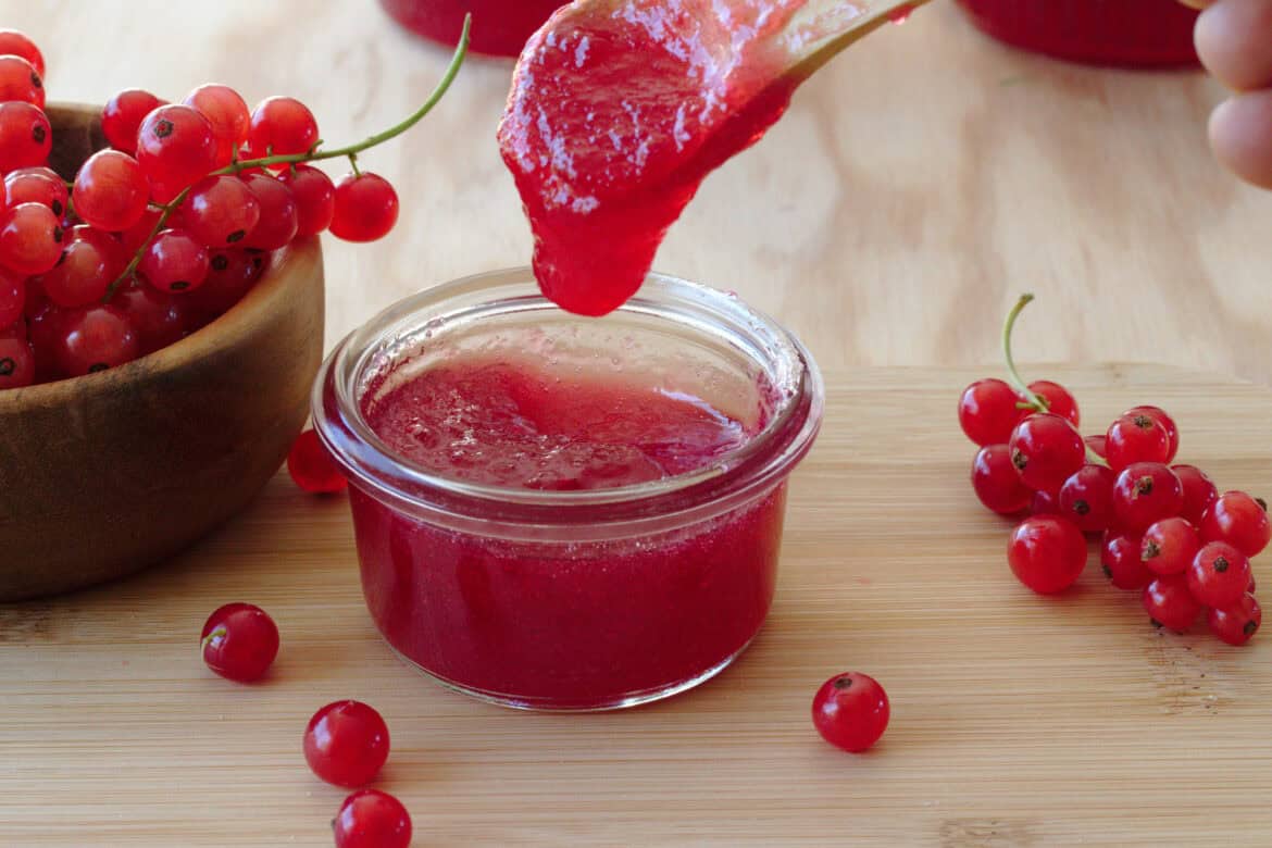 10 Easy Red Currant Recipes - Vital Fair Living