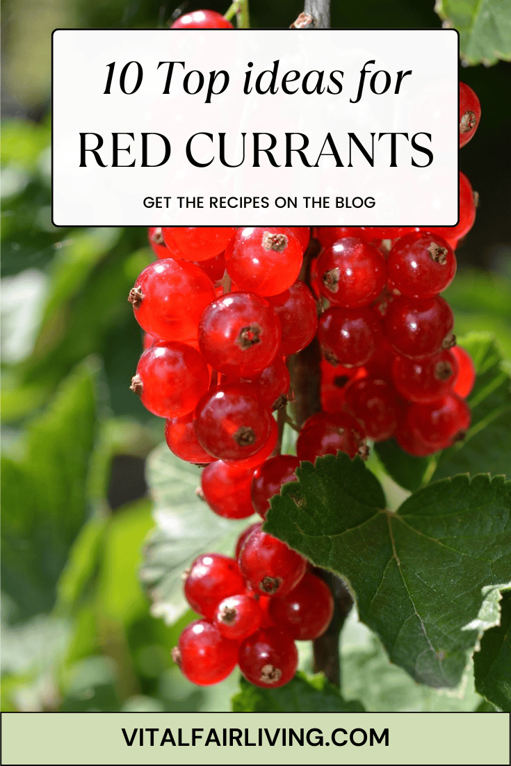 10 Easy Red Currant Recipes - Vital Fair Living