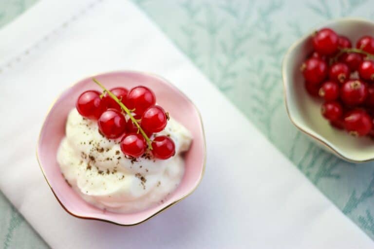 10 Easy Red Currant Recipes - Vital Fair Living